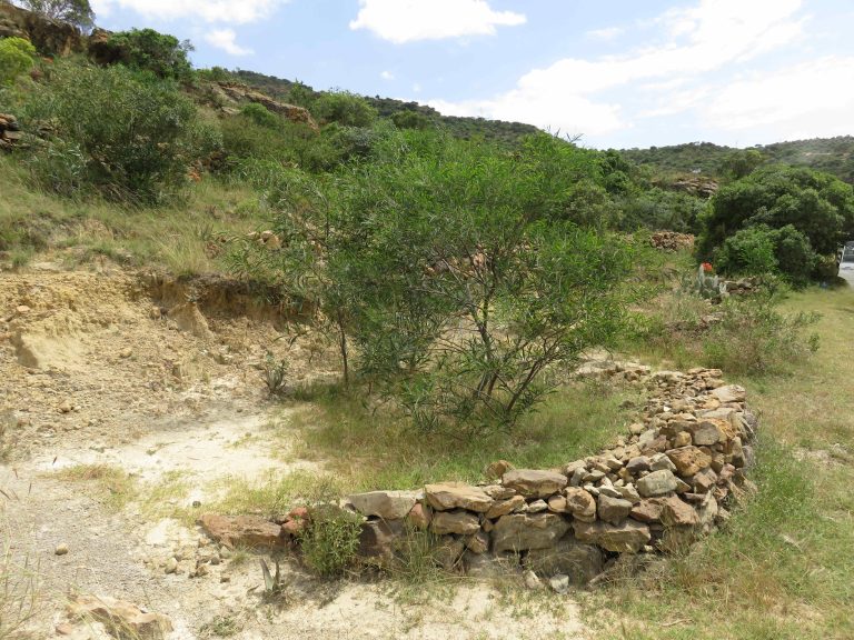 Eyebrow Terraces – Greener.Land